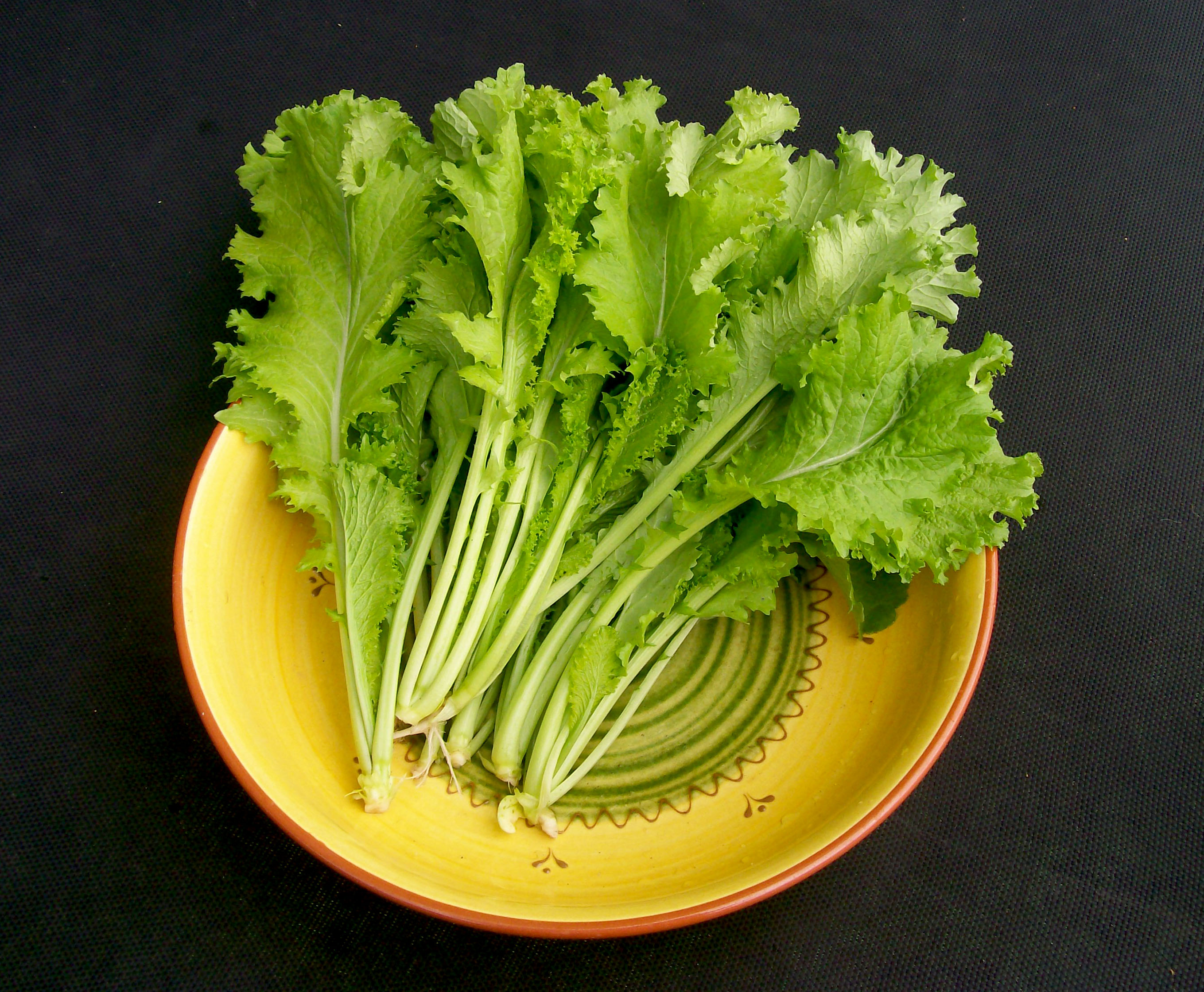 Southern Giant Curled Mustard