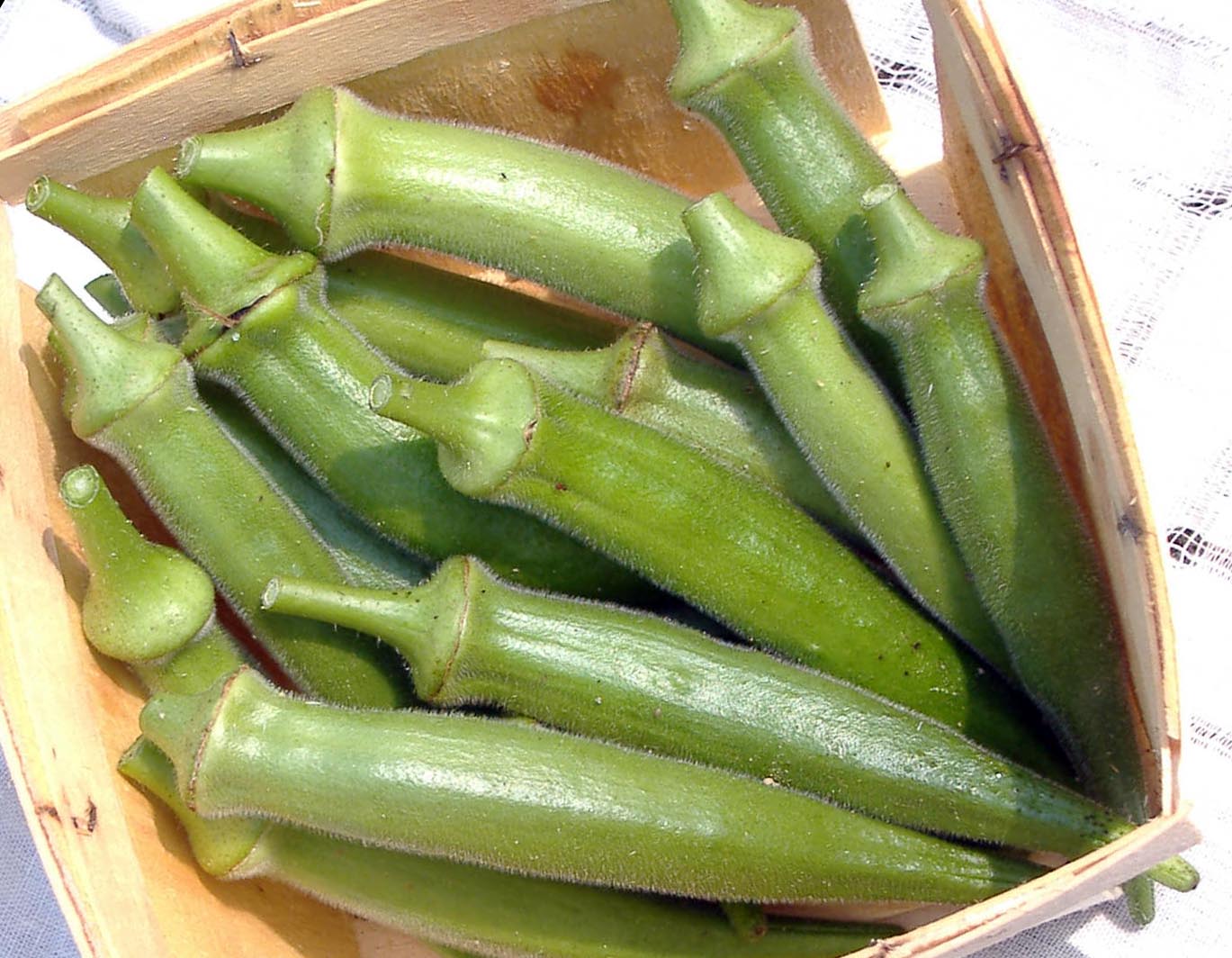 Choppee Okra
