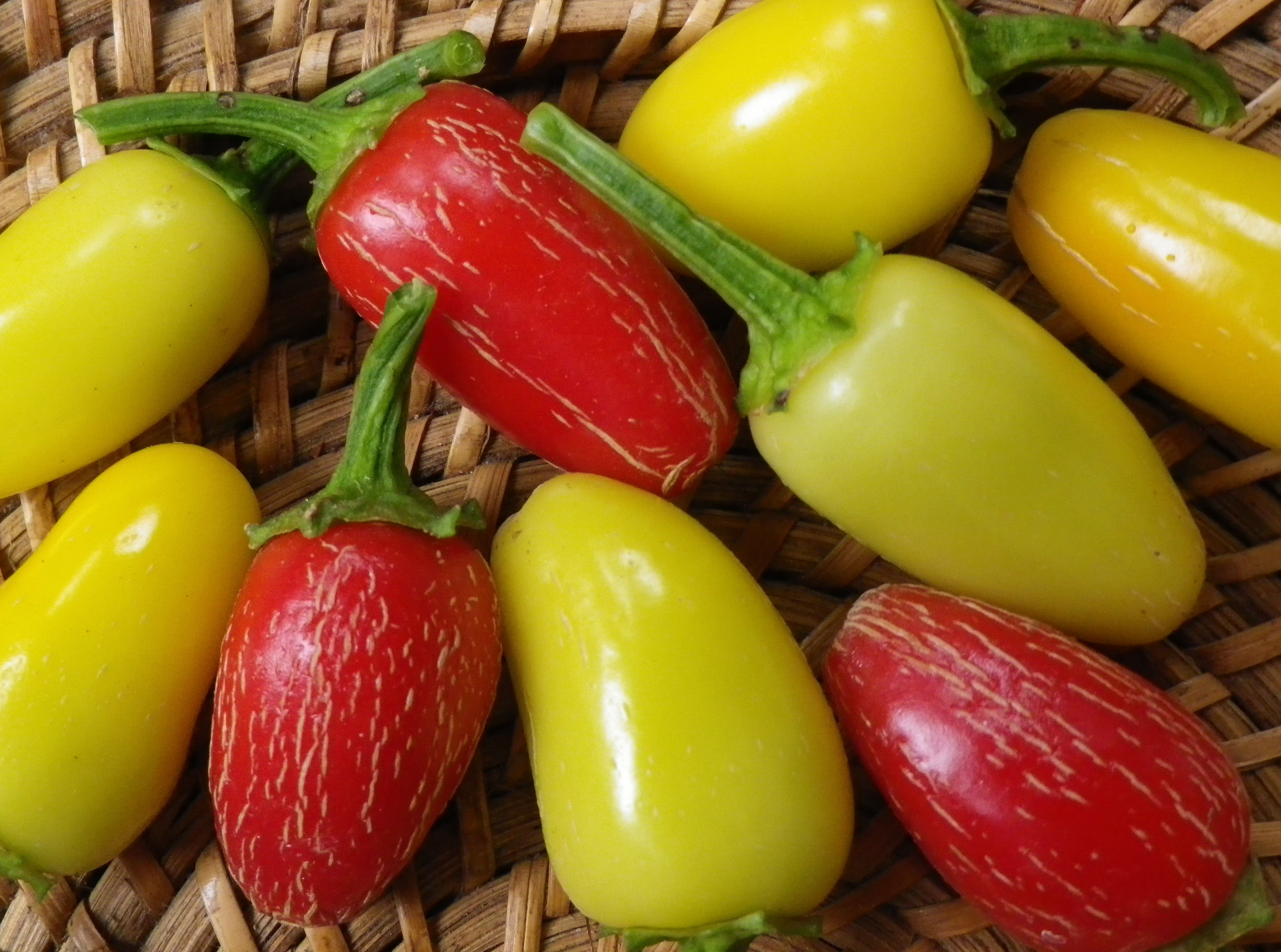 Jaloro Jalapeño Hot Pepper