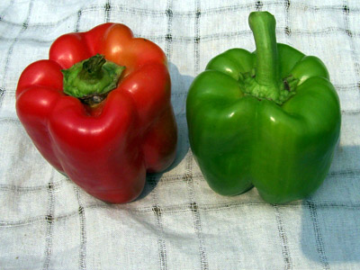 Keystone Resistant Giant Sweet Bell Pepper