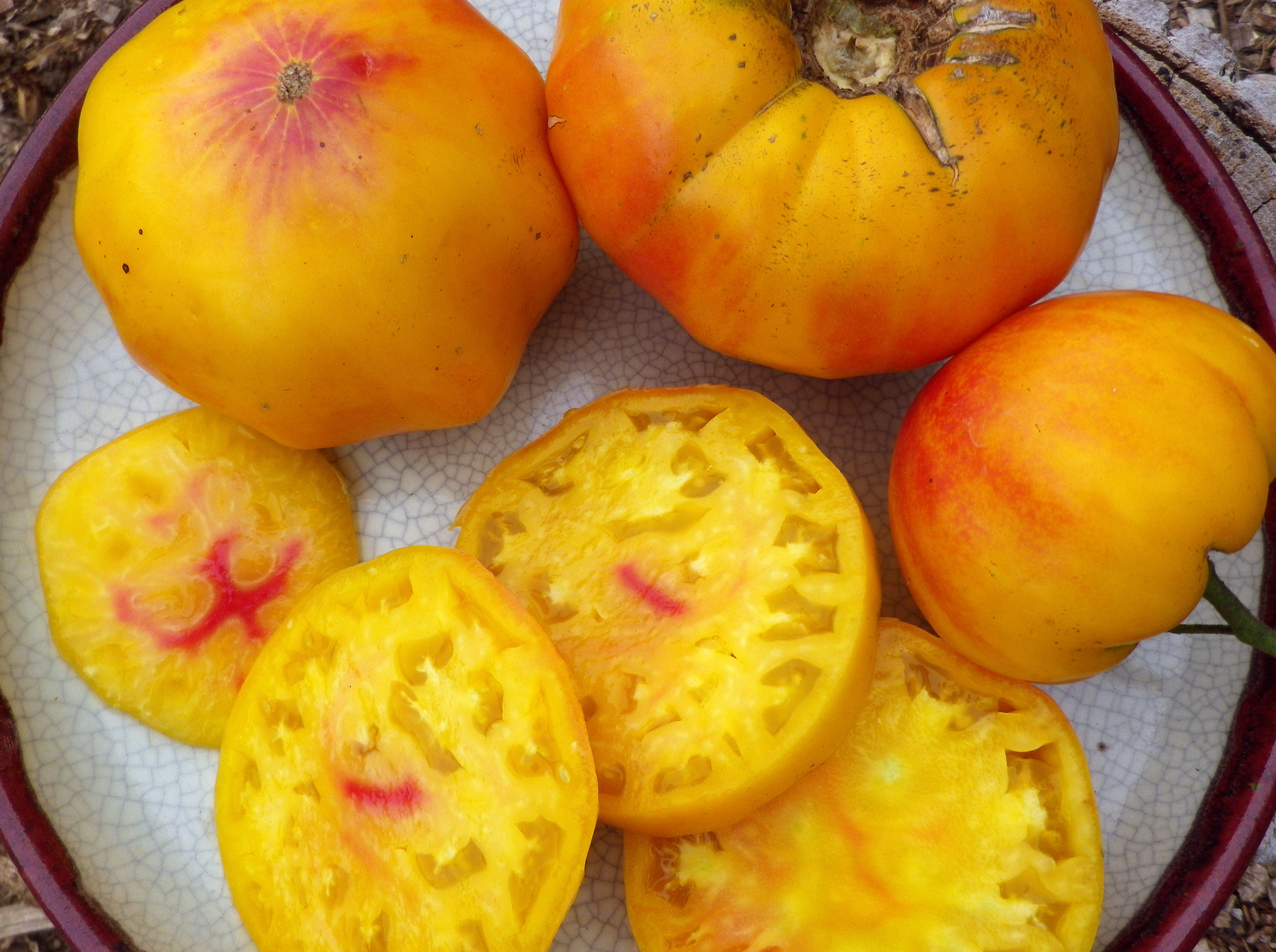 Virginia Sweets Tomato