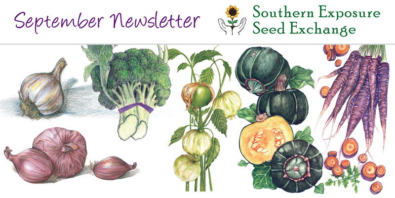 Southern Exposure Newsletter